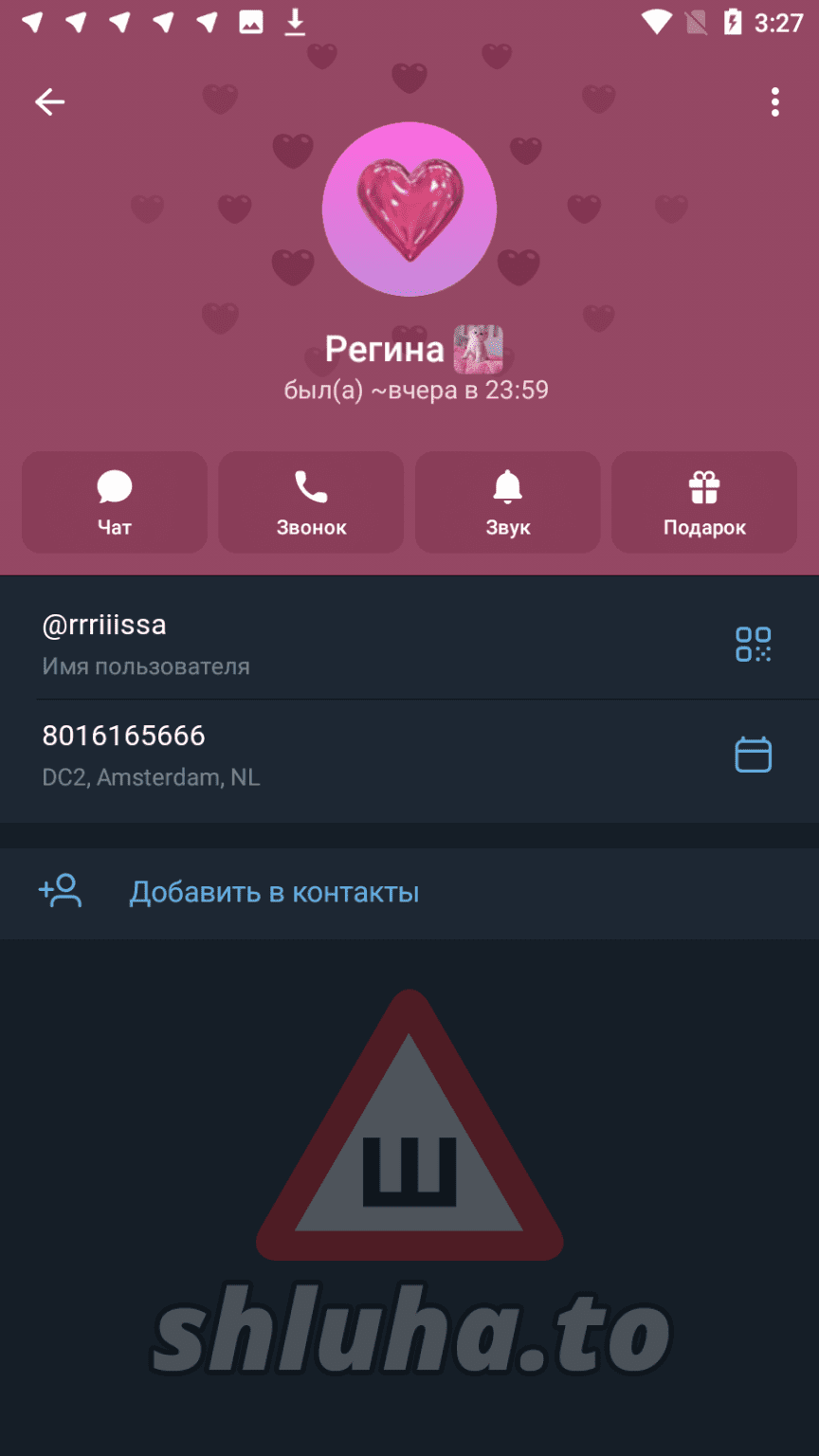 Сунгатова Регина Марсиловна - Слив эскортниц Shluha